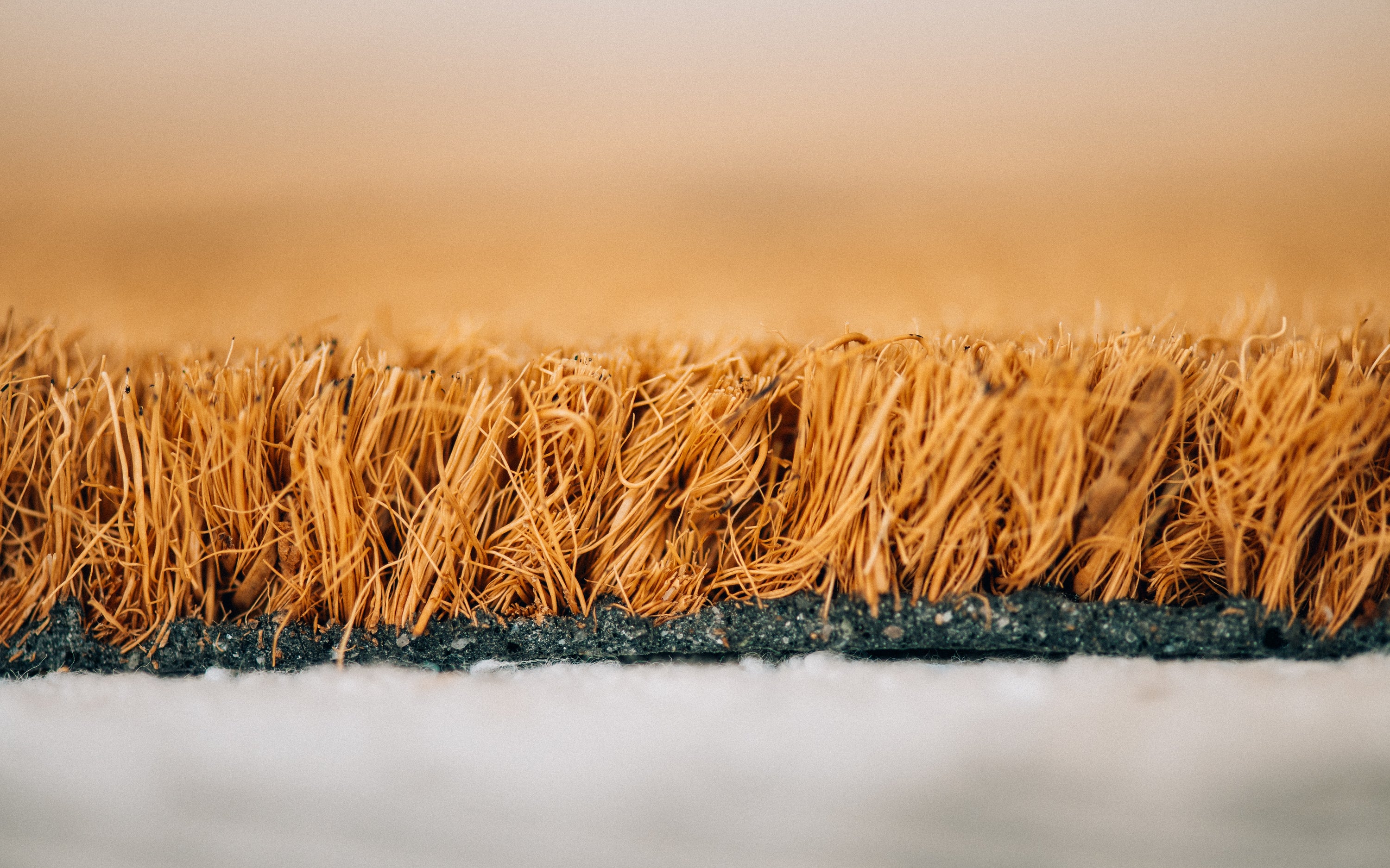 Unwarranted Arrival Natural Coir Doormat – Theodore Magnus